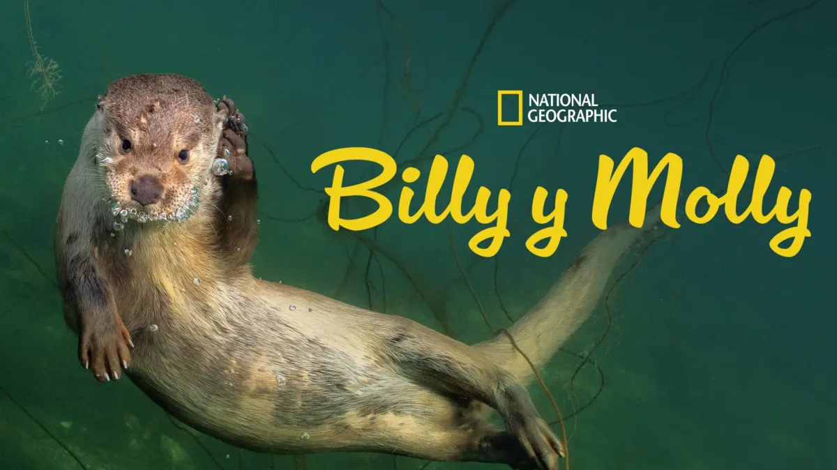 Ver Billy y Molly | Disney+