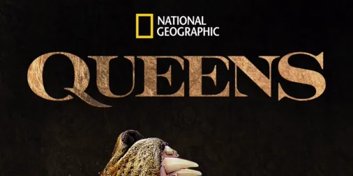 Queens | Watch Full Episodes | Disney+