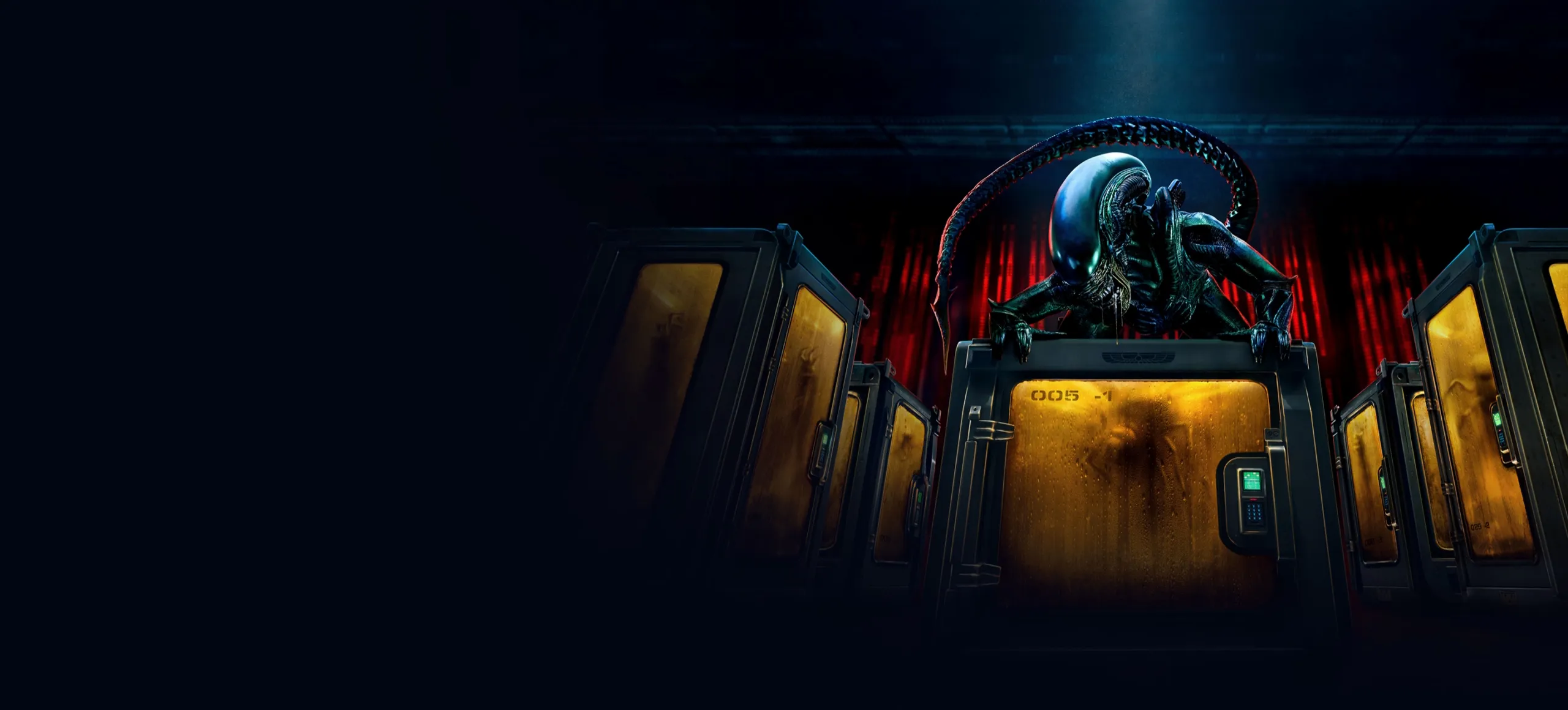 Disney, Marvel, Pixar, Star Wars, Nat Geo and Star | Disney+ Singapore