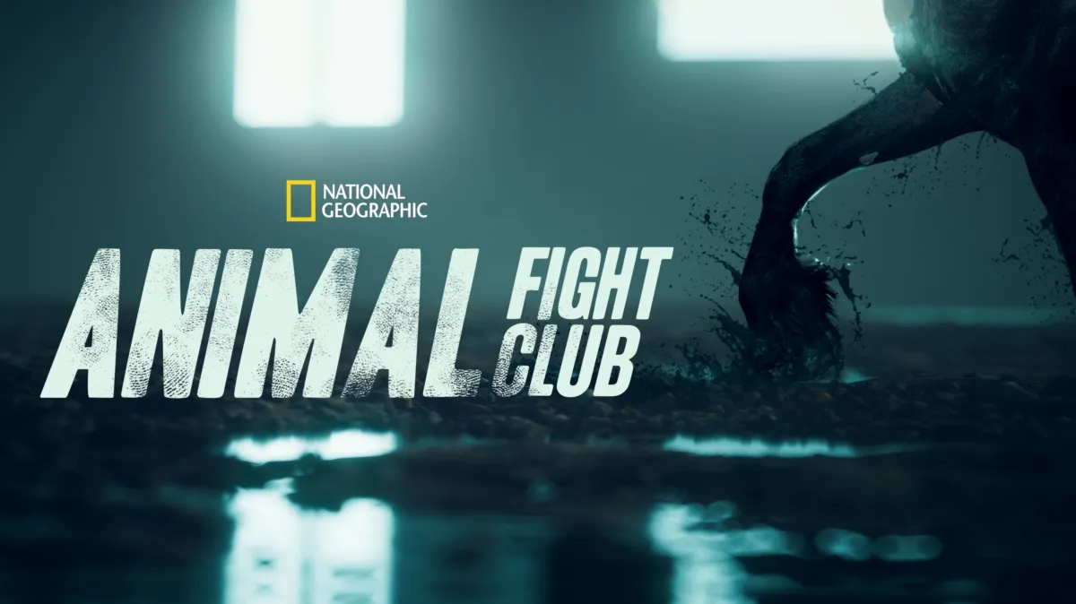Watch Animal Fight Club | Full episodes | Disney+
