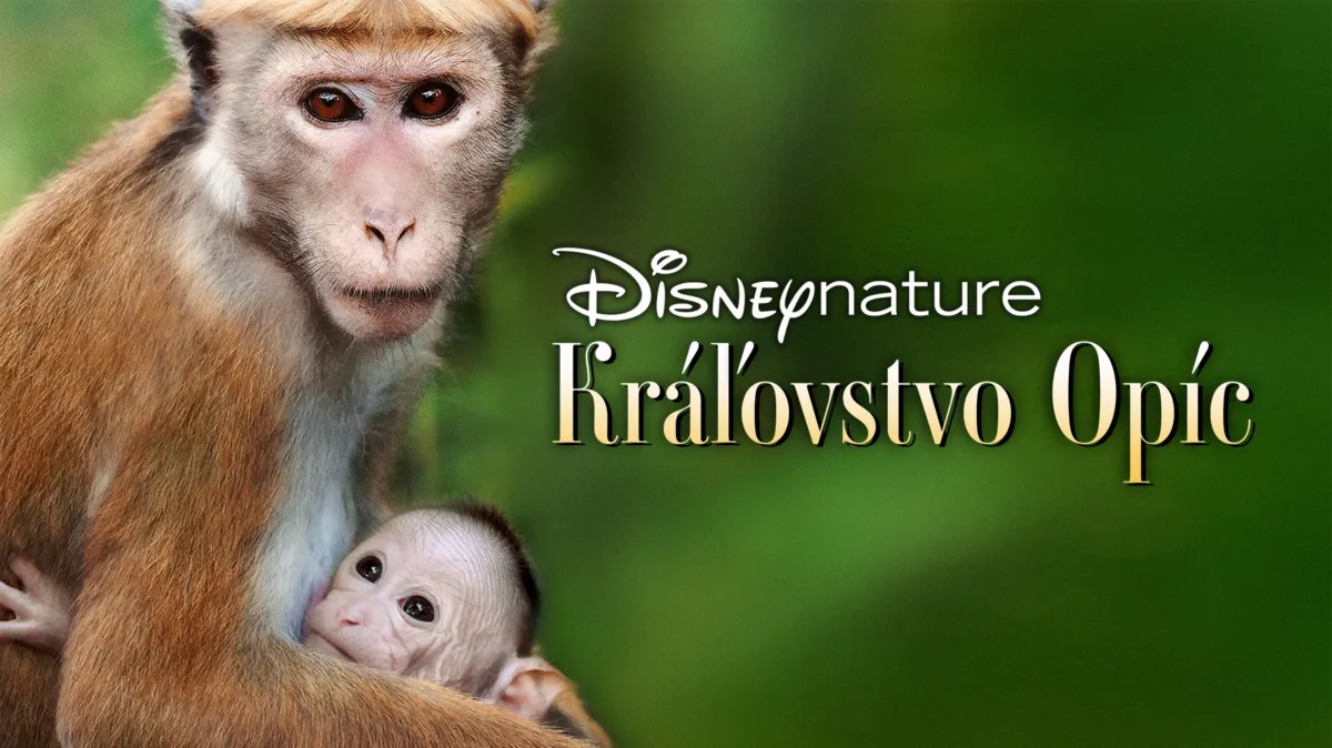 Pozerajte Kráľovstvo opíc | Disney+