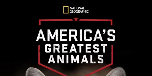 Watch America's Greatest Animals | Disney+