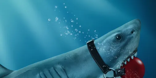Shark Lords | Watch Full Episodes | Disney+