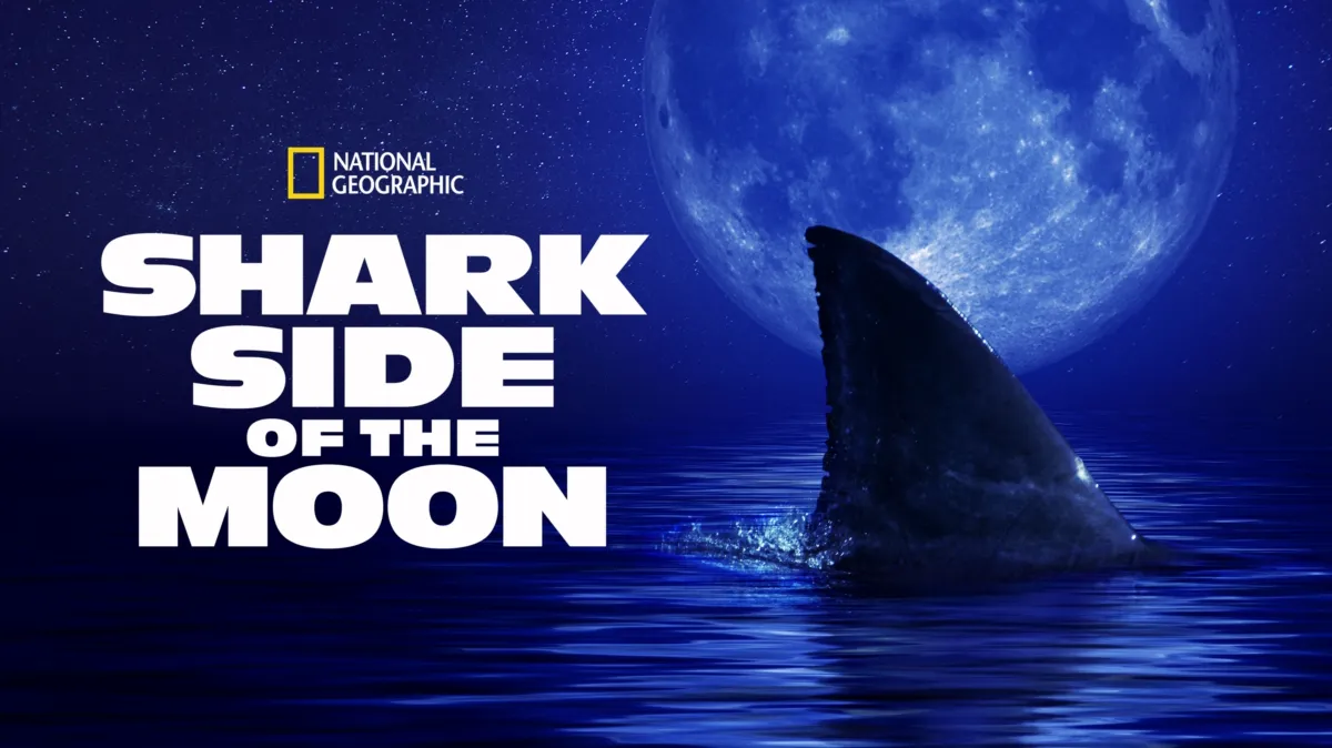 Watch Shark Side of the Moon | Disney+