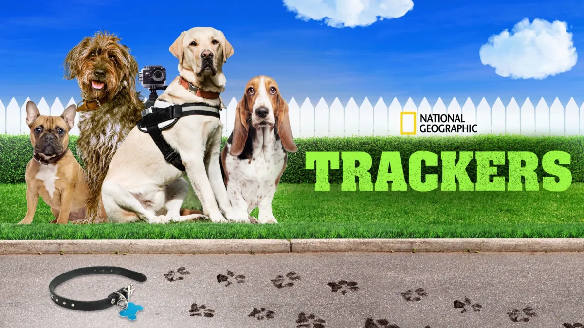 Watch Trackers | Full episodes | Disney+