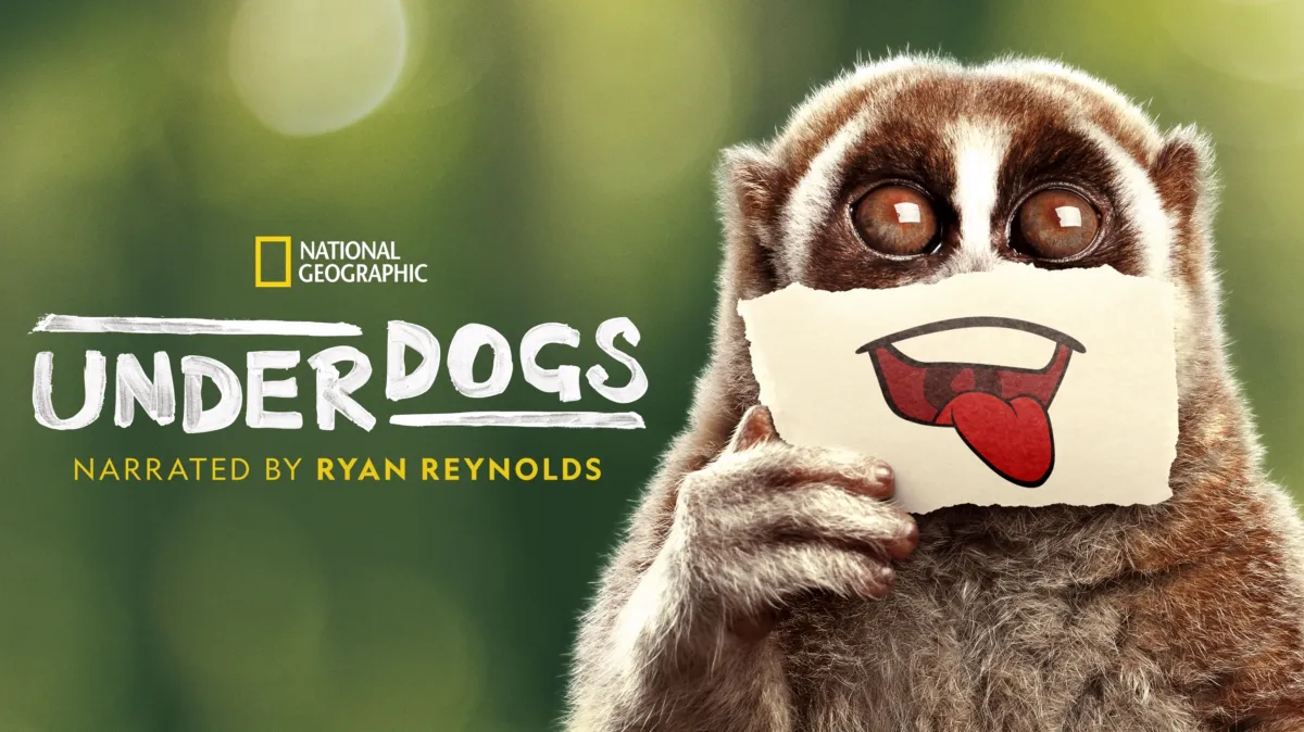 Watch Underdogs | Full episodes | Disney+