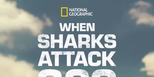 Watch When Sharks Attack 360 | Full Episodes | Disney+