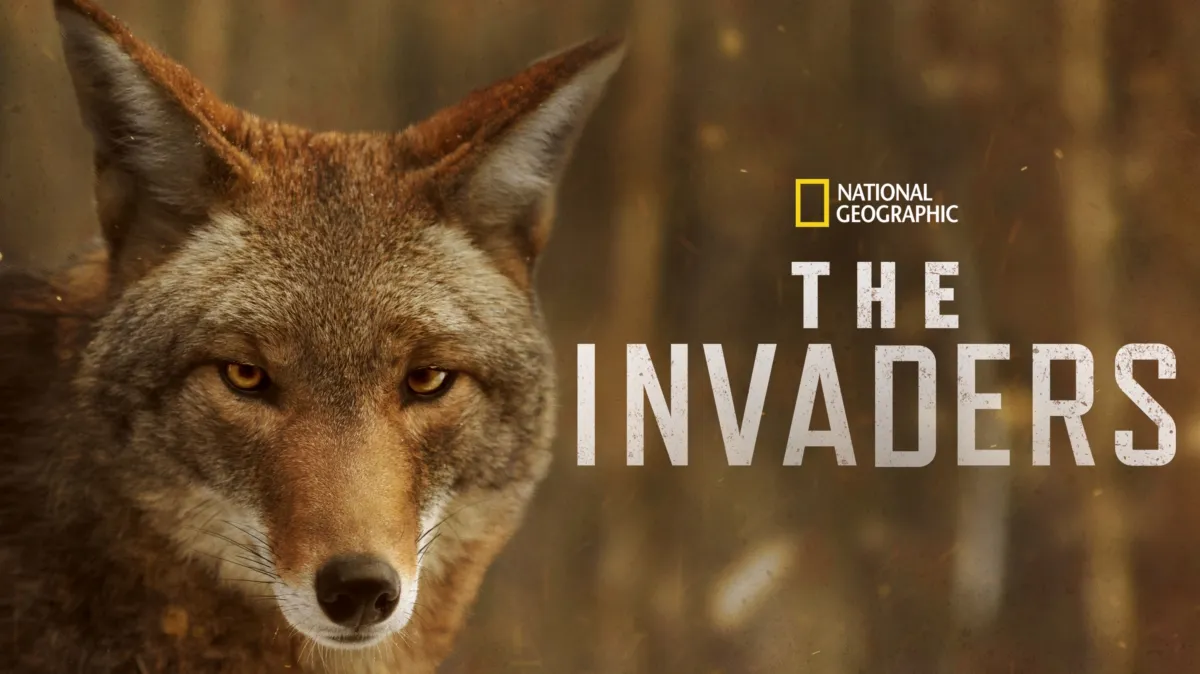 Watch Invaders, The | Disney+