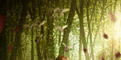 Regardez À tout jamais: une histoire de Cendrillon (Ever After) | Disney+