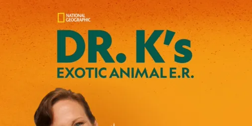 Watch Dr. K's Exotic Animal ER | Full Episodes | Disney+