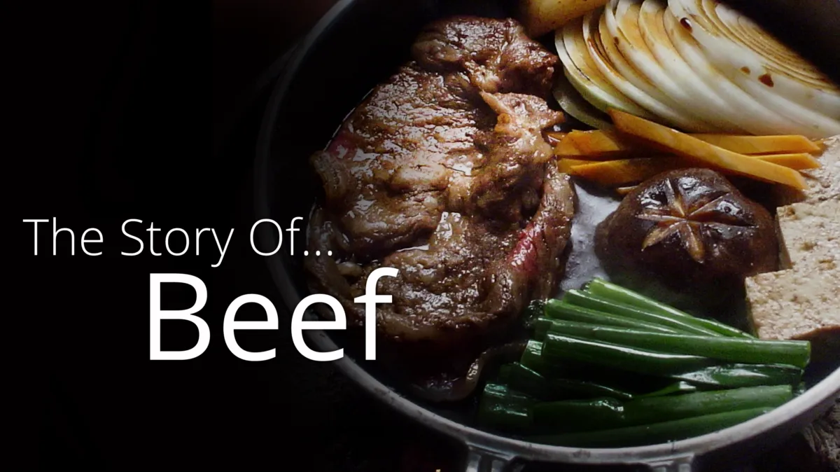 Watch Story of... Beef | Full episodes | Disney+