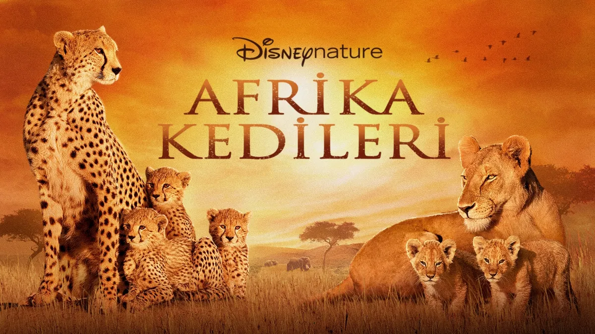 Afrika Kedileri İzleyin | Disney+