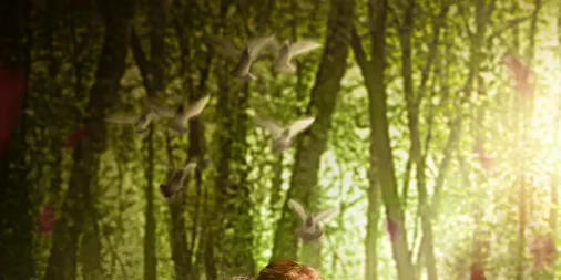 Watch Ever After: A Cinderella Story | Disney+