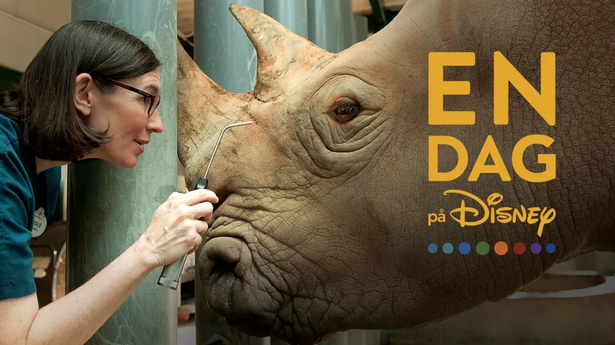 Titta på One Day At Disney | Disney+