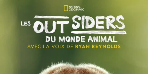 Regarder Les outsiders du monde animal | Épisodes complets | Disney+