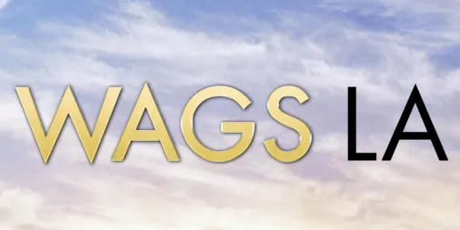WAGS | Watch Full Episodes | Disney+