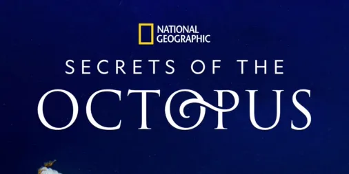 Watch Secrets of the Octopus | Full Episodes | Disney+