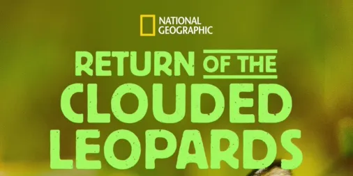 Watch Return of the Clouded Leopards | Disney+
