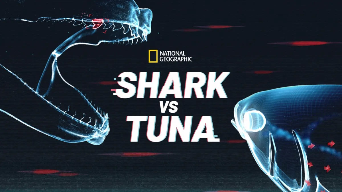 Watch Shark Vs. Tuna | What to Watch | Disney+ Canada