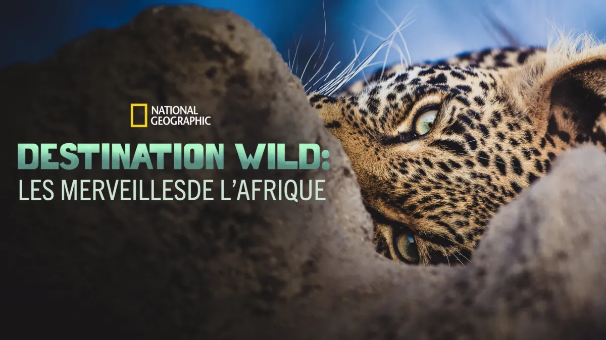Regarder Destination Wild : Les merveilles de l'Afrique | Épisodes complets | Disney+