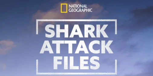 Watch Shark Attack Files | Full episodes | Disney+