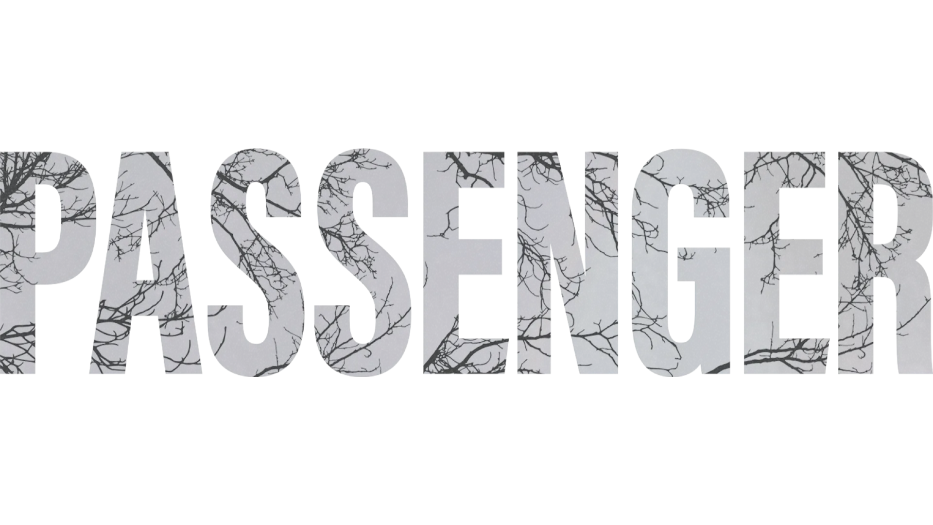 Watch Passenger | Disney+