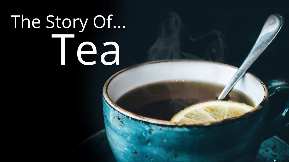 Watch Story of... Tea | Disney+