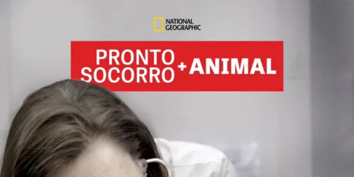 Assistir a Pronto-Socorro Animal | Disney+