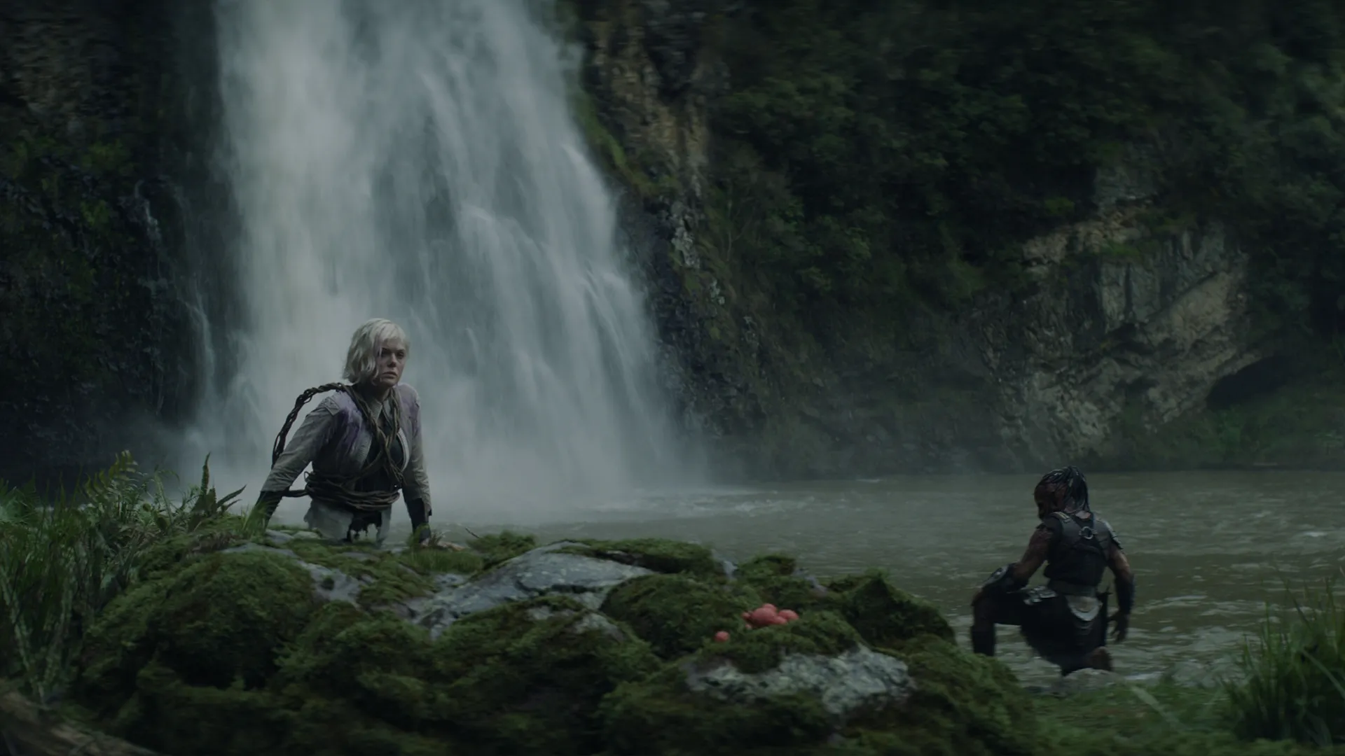 Predator: Badlands Release Date, Cast & Plot Details | Explore Disney+