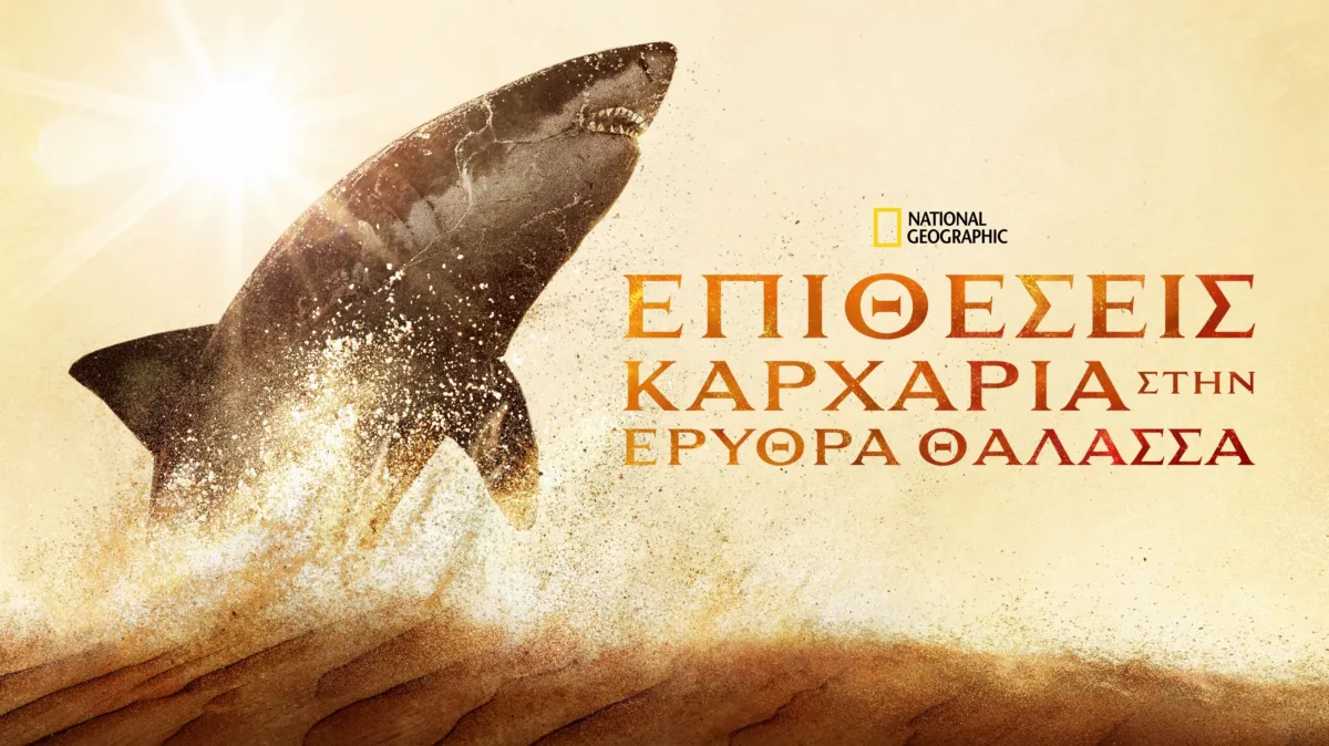 Δείτε το «Επιθέσεις Καρχαρία στην Ερυθρά Θαλασσα» | Disney+