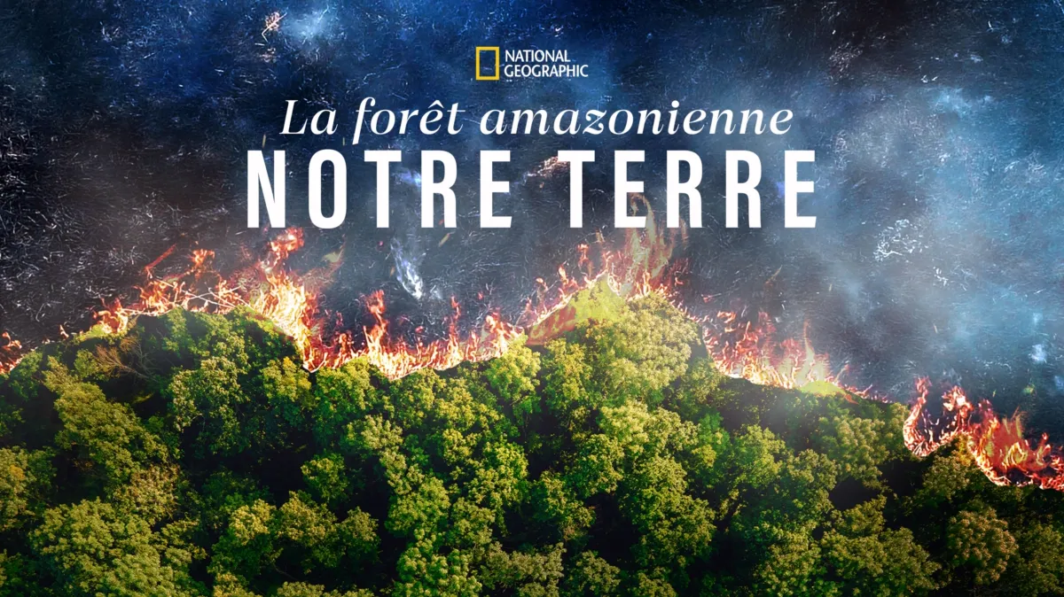 Regarder La forêt amazonienne : notre terre | Disney+