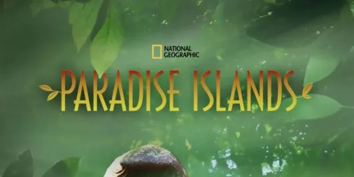 Watch Paradise Islands | Full episodes | Disney+