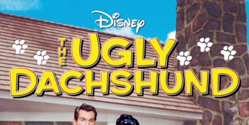Watch The Ugly Dachshund | Disney+