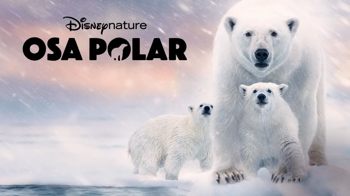 Ver Osa polar | Disney+