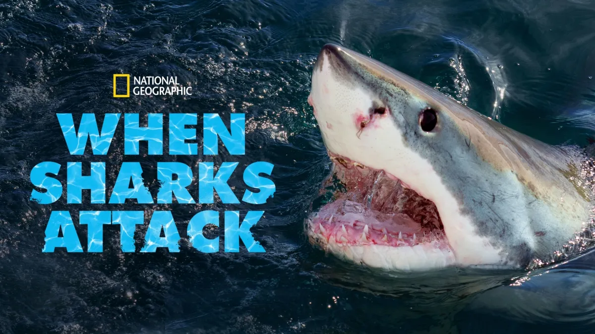 Watch When Sharks Attack | Disney+