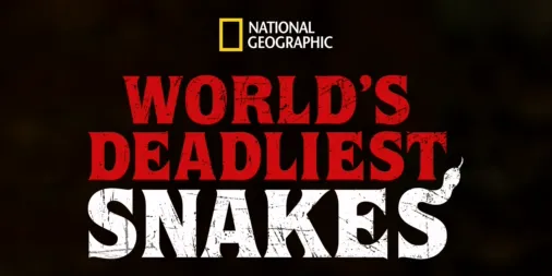 Watch World's Deadliest Snakes | Full episodes | Disney+