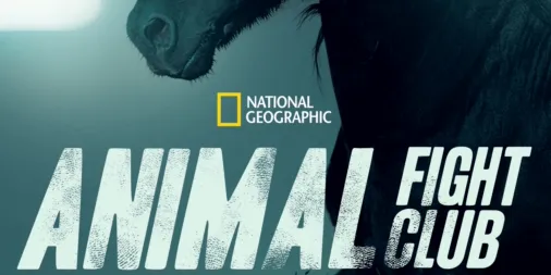 Watch Animal Fight Club | Full episodes | Disney+