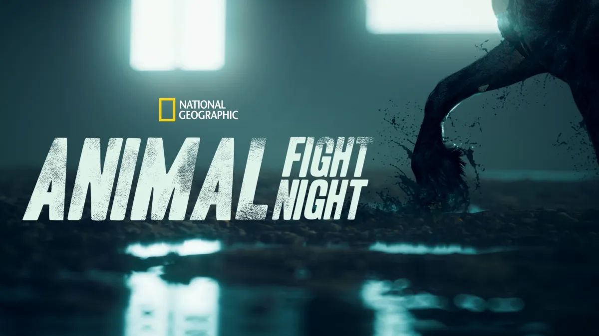 Watch Animal Fight Night | Disney+