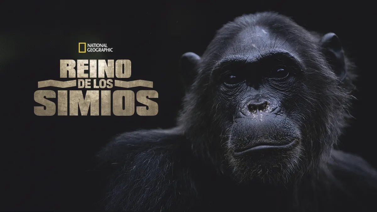 Ver Reino de los Simios | Disney+