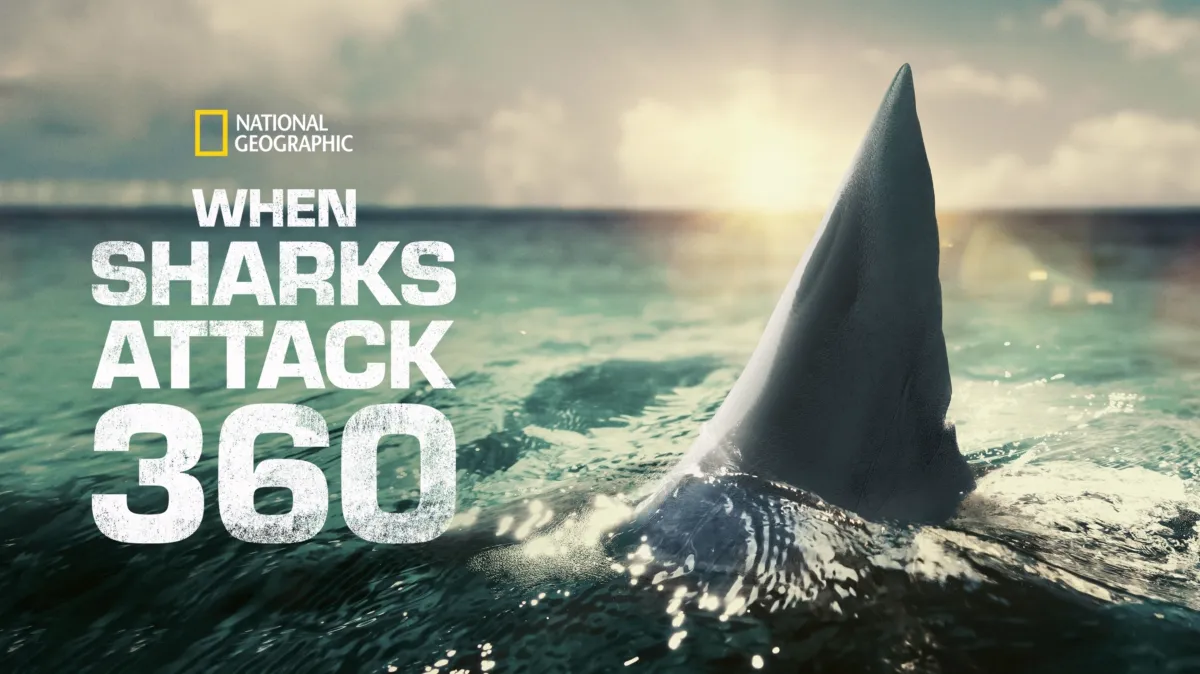 Watch When Sharks Attack 360 | Full Episodes | Disney+