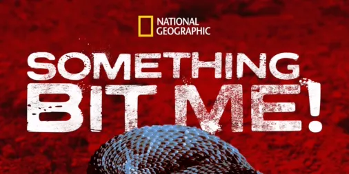 Watch Something Bit Me! | Full Episodes | Disney+