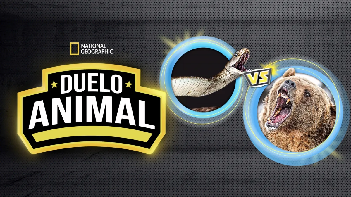 Ver Duelo Animal | Disney+