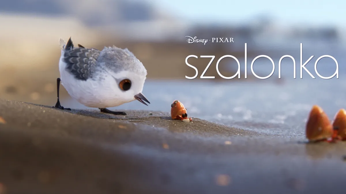 Szalonka megtekintése | Disney+