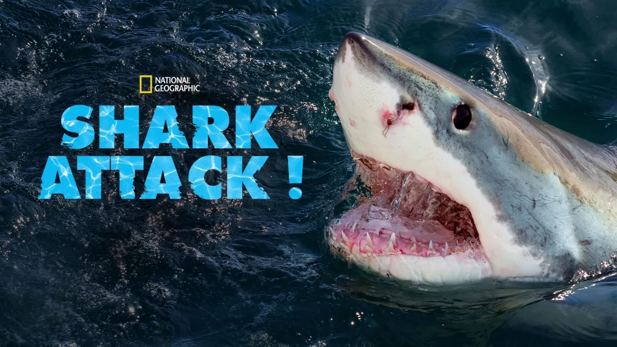 Regarder Shark Attack ! | Épisodes complets | Disney+