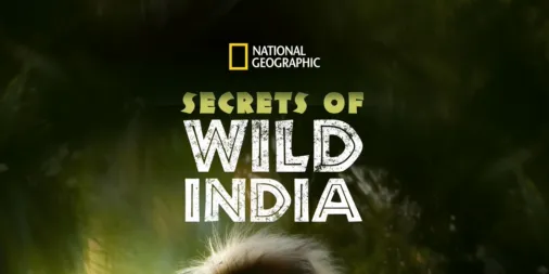 Kijk de volledige afleveringen van Secrets of Wild India | Disney+