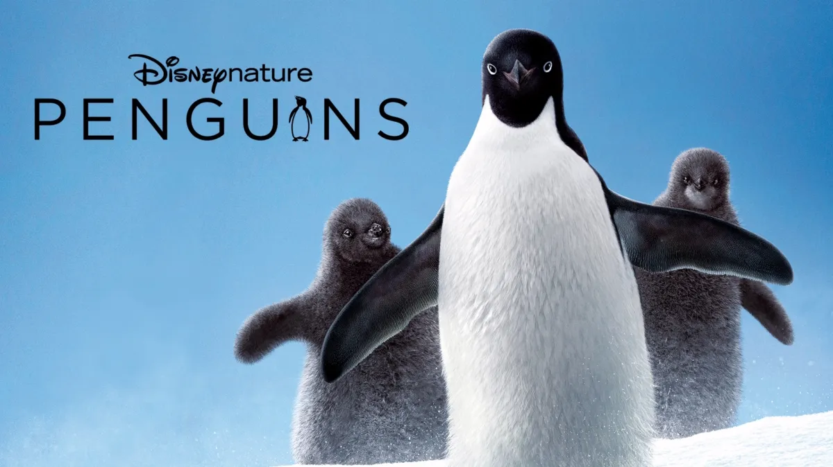 Watch Penguins | Disney+
