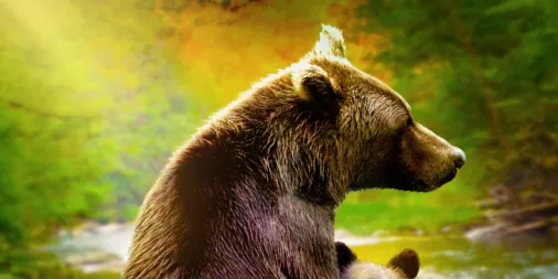 Watch Growing Up Animal | Full Episodes | Disney+