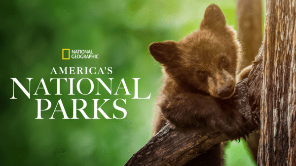 National Geographic Animals and Nature Movies and Shows | Disney+