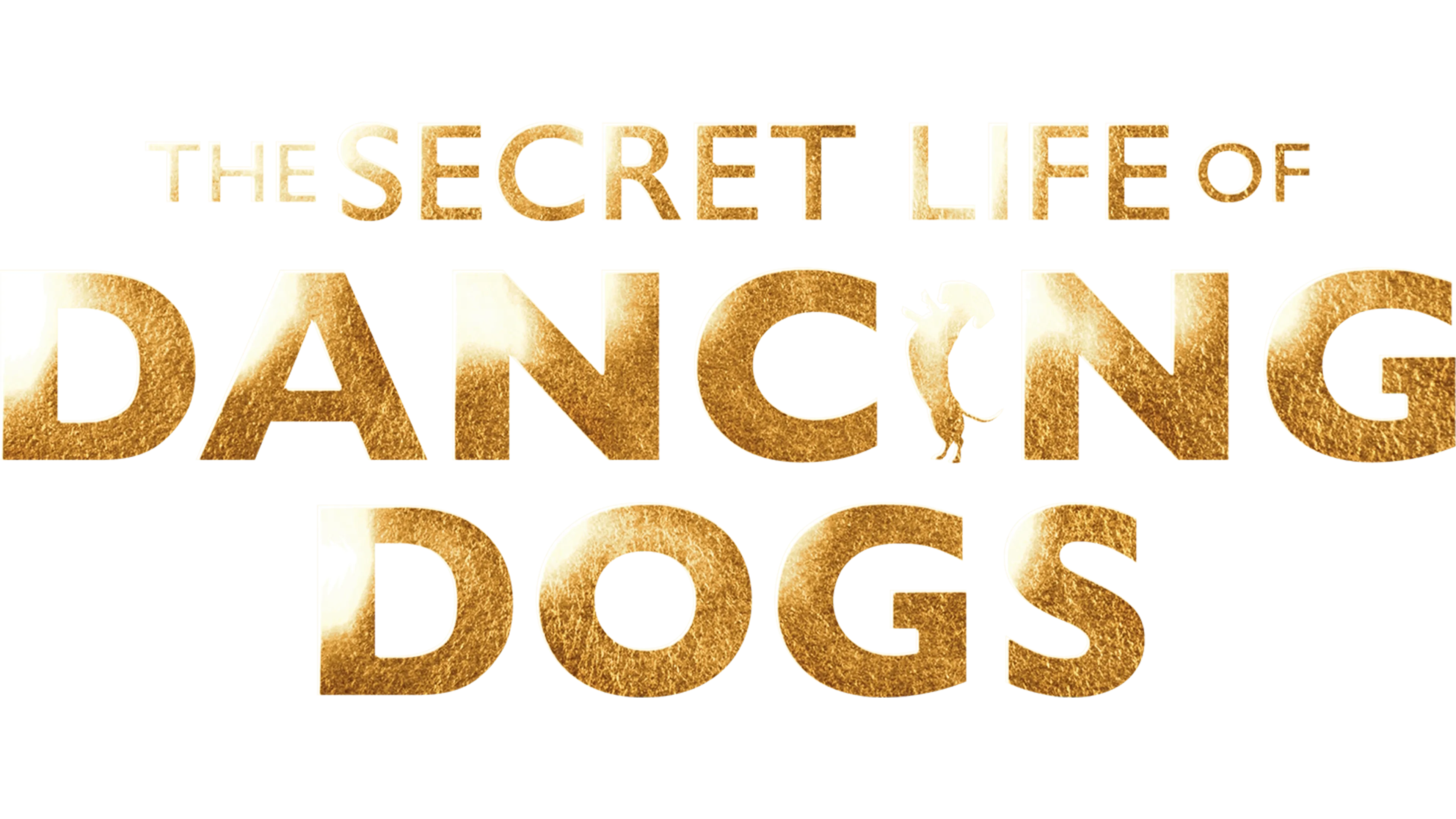 Watch The Secret Life of Dancing Dogs | Full episodes | Disney+