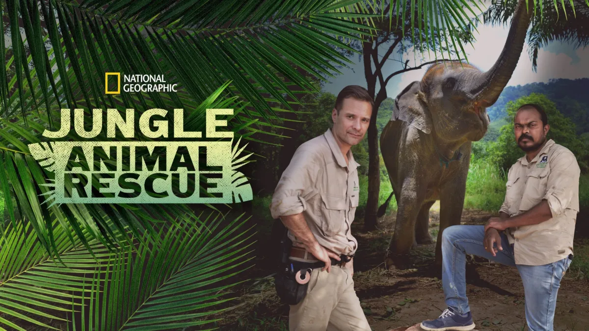 Watch Jungle Animal Rescue | Disney+